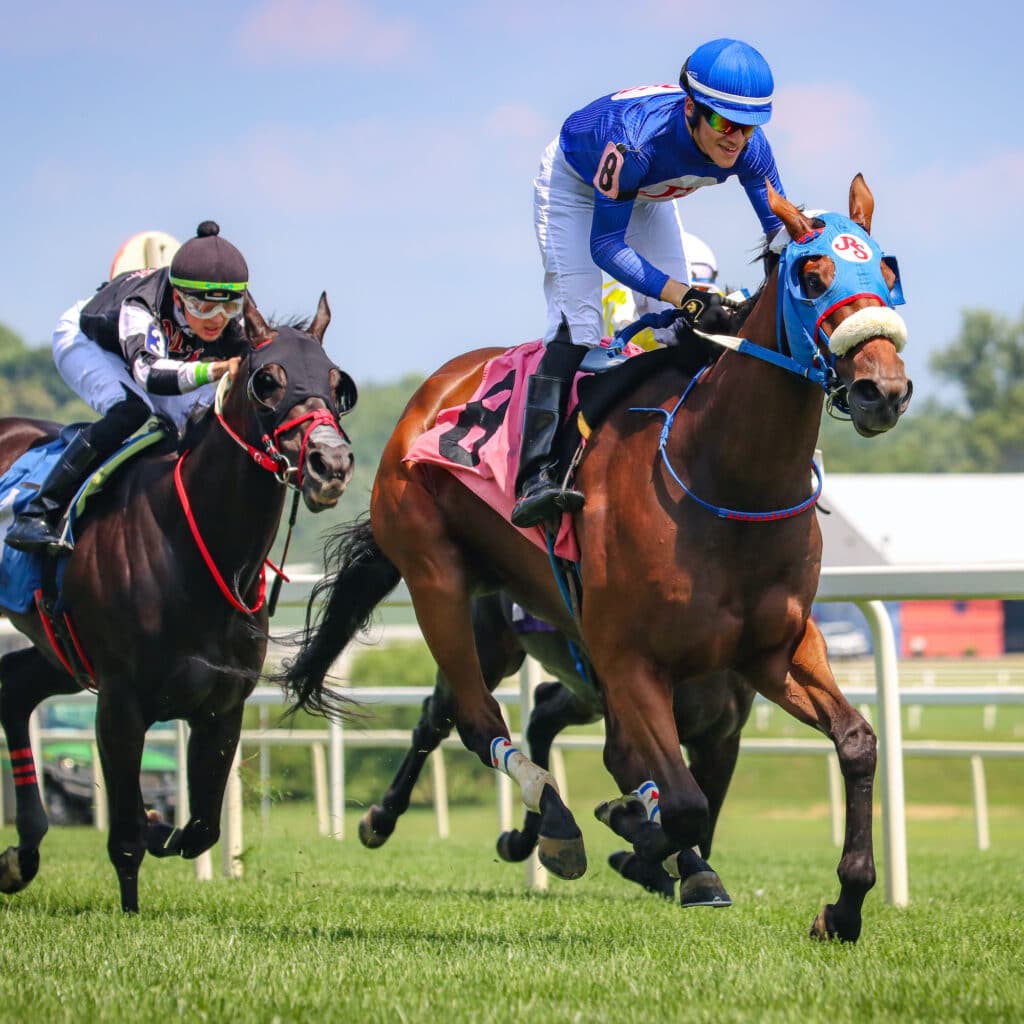 Laurel Park Race Track Maryland | Best Horse Racing Venue in Maryland