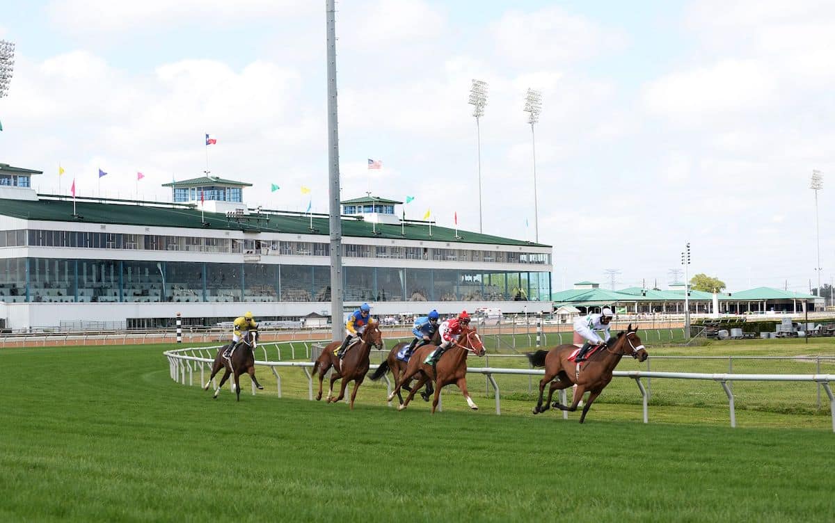 Laurel Park Race Track Maryland | Best Horse Racing Venue in Maryland