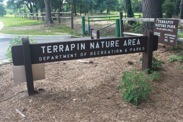 Terrapin Nature Park Maryland: A Complete Visitor's Guide