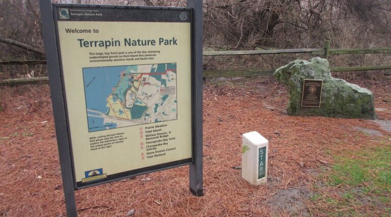 Terrapin Nature Park Maryland: A Complete Visitor's Guide