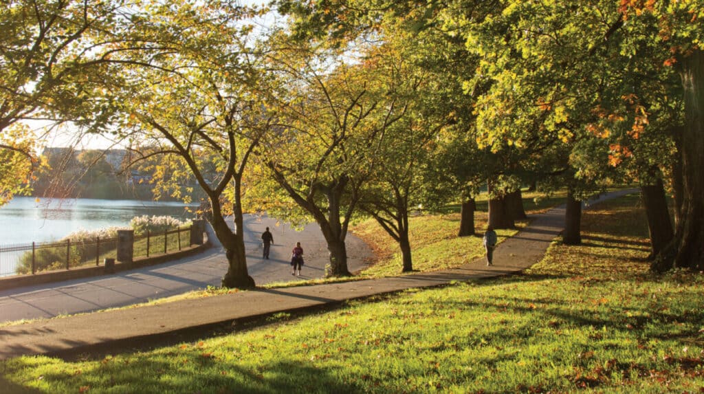 Druid Hill Park Baltimore – A Complete Guide to the City’s Green Gem ...