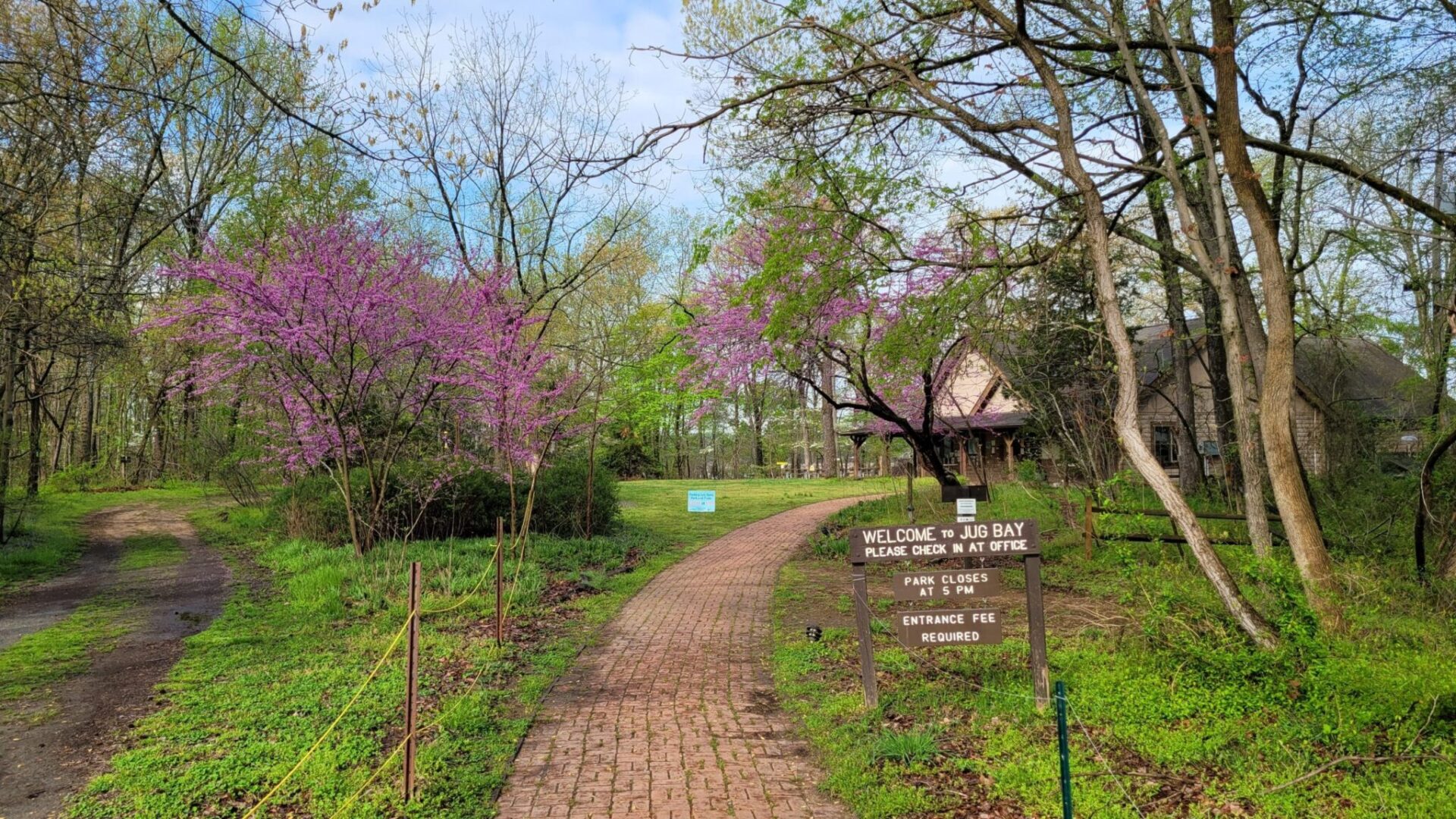 Jug Bay Wetlands Sanctuary Maryland: A Haven for Wildlife and Wonder