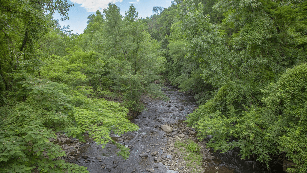 Baltimore Green Heart Gwynns Falls/Leakin Park